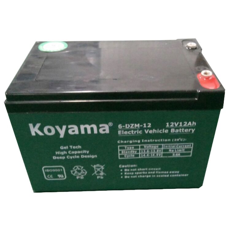Аккумулятор Koyama 6-DZM-12 12V 12Ah купить в Кишиневе, Молдове ...