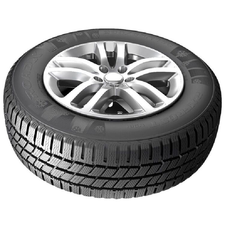 Шины RoadX RxFrost WC01 195 R14C 106/104R 8PR купить в Кишиневе ...