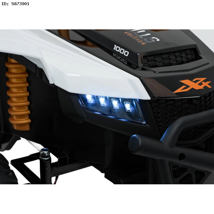 Masinuta electrica Arctic Cat Wildcat XX (White) cumpără în Chișinău ...