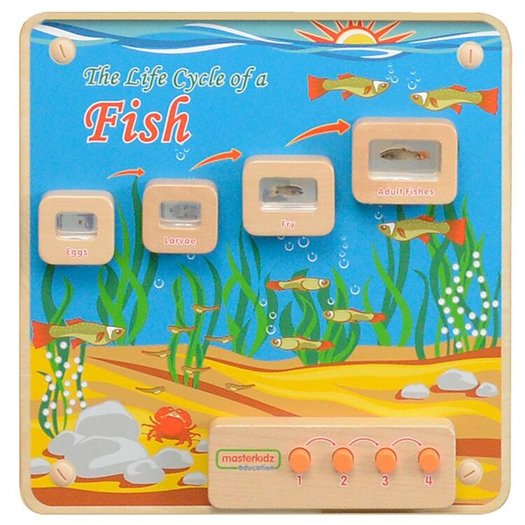 Tabla de dezvoltare Masterkidz Light-Up Fish Life Cycle Stages Panel ...