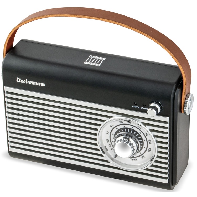 Портативный радиопремник ElectroMures EM 1007 (Black) купить в Кишиневе ...