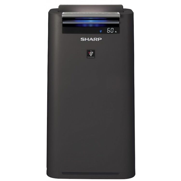 Purificator de aer 2in1 Sharp KCG40EUH (Anthracite Grey) cumpără în ...
