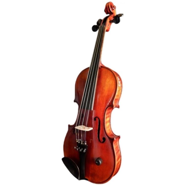 Vioara electrica Zeta EV05 Acoustic Pro (Brown) cumpără în Chișinău ...