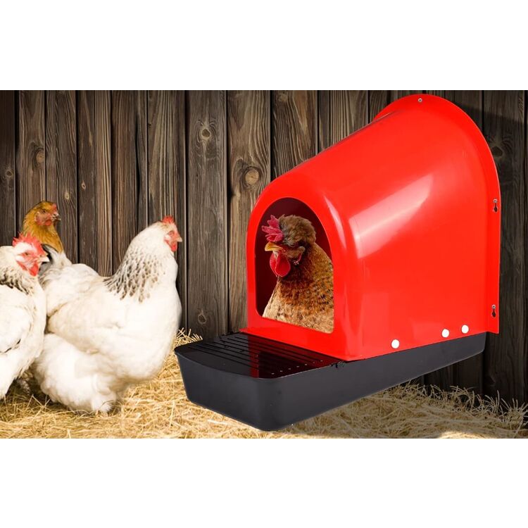 Cuibar pentru gaini cu colector de oua Demetra ECO cumpără în Chișinău ...