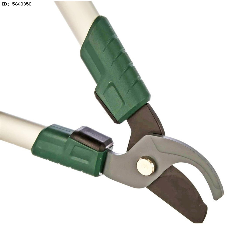 Секатор-сучкорез Bosch 06008B5100 (Green/Silver) купить в Кишиневе ...