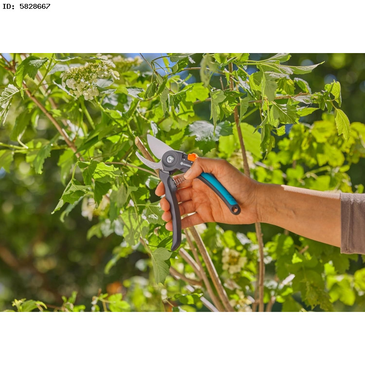 Foarfeca de gradina Gardena PremiumCut (Blue/Grey) cumpără în Chișinău ...