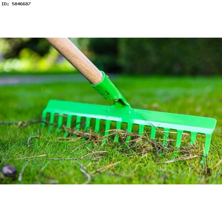 Grebla Verto 15G050 cumpără în Chișinău, Moldova | SMADSHOP.MD