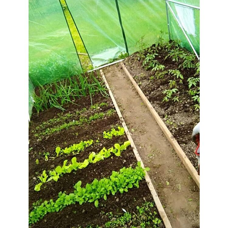 Sera de gradina GardenLine TUN5552 (Green) cumpără în Chișinău, Moldova ...
