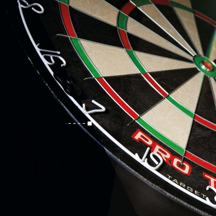 Дартс Target Pro Tour (Black) купить в Кишиневе, Молдове | SMADSHOP.MD