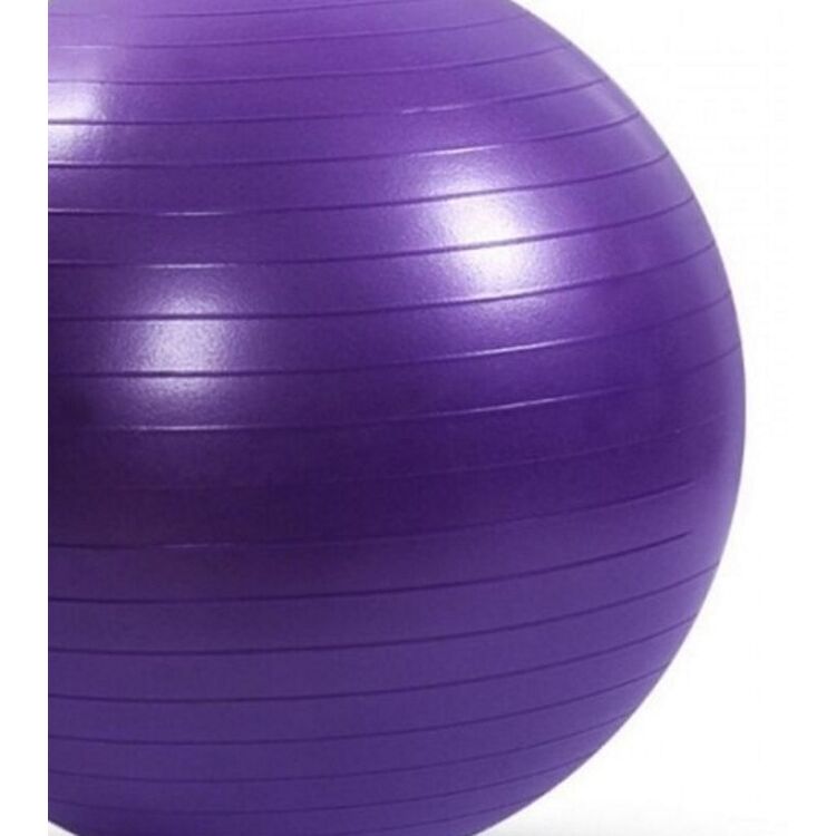 Fitball Hiperlion FIT-BALL 65cm (Purple) cumpără în Chișinău, Moldova ...