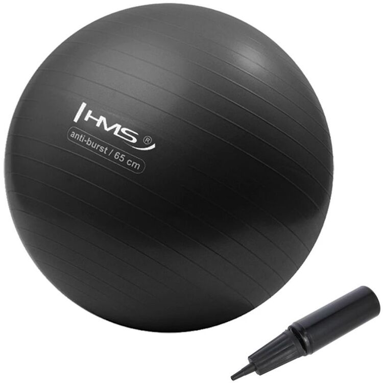 Fitball Hms YB02 65 cm (Black) cumpără în Chișinău, Moldova | SMADSHOP.MD