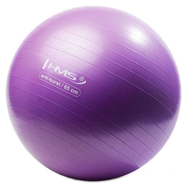 Fitball Hms YB02 (Purple) cumpără în Chișinău, Moldova | SMADSHOP.MD