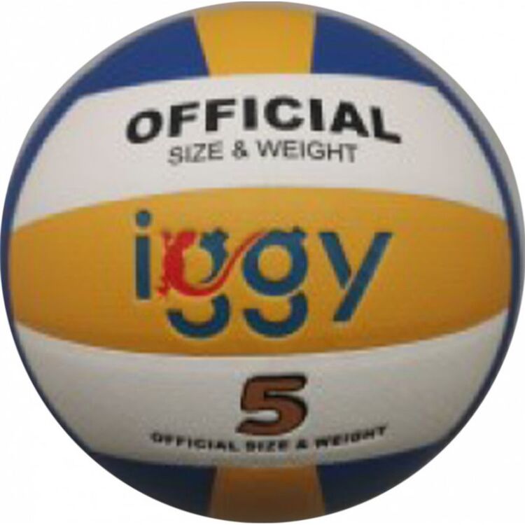 Мяч волейбольный Iggy Igvb-Pro купить в Кишиневе, Молдове | SMADSHOP.MD