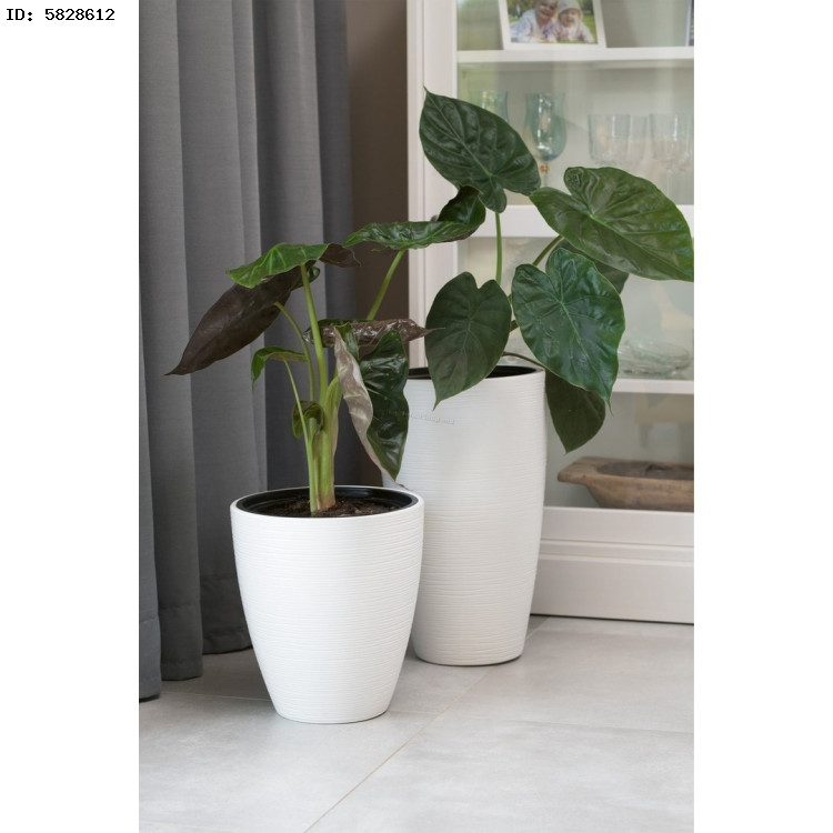 Ghiveci Form Plastic Gobi D38.5 (Black) cumpără în Chișinău, Moldova ...