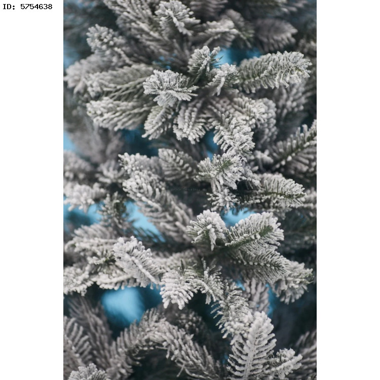 Елка Divi Trees Siberia Small 0.7м купить в Кишиневе, Молдове | SMADSHOP.MD