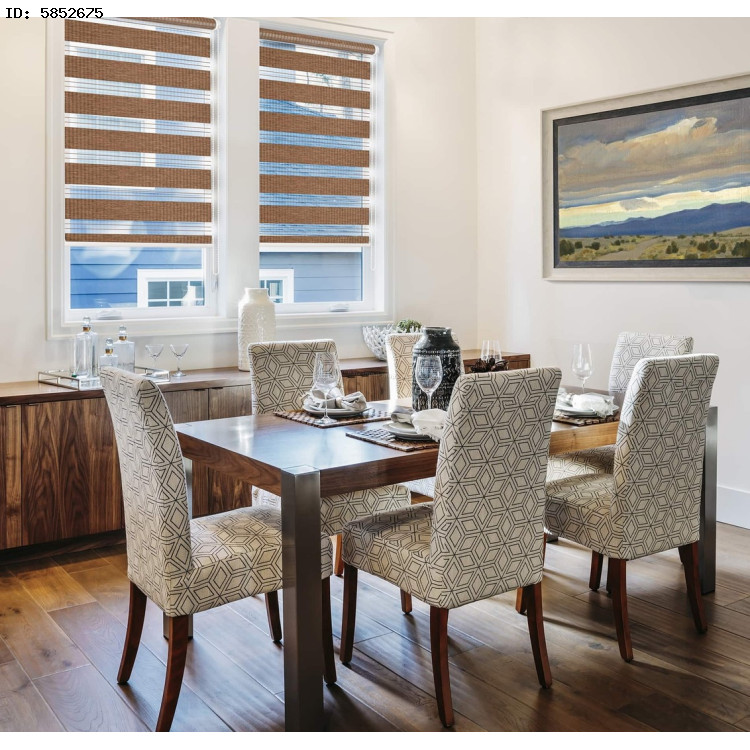 Jaluzele rulou zi-noapte Delfa Mini СРШ-01МД 42905 68х160cm (Mocha) cumpără în Chișinău, Moldova ...