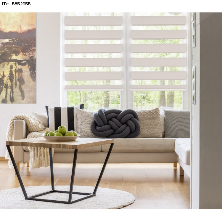 Jaluzele rulou zi-noapte Delfa Mini СРШ-01МК 41021 81х160cm (Beige) cumpără în Chișinău, Moldova ...